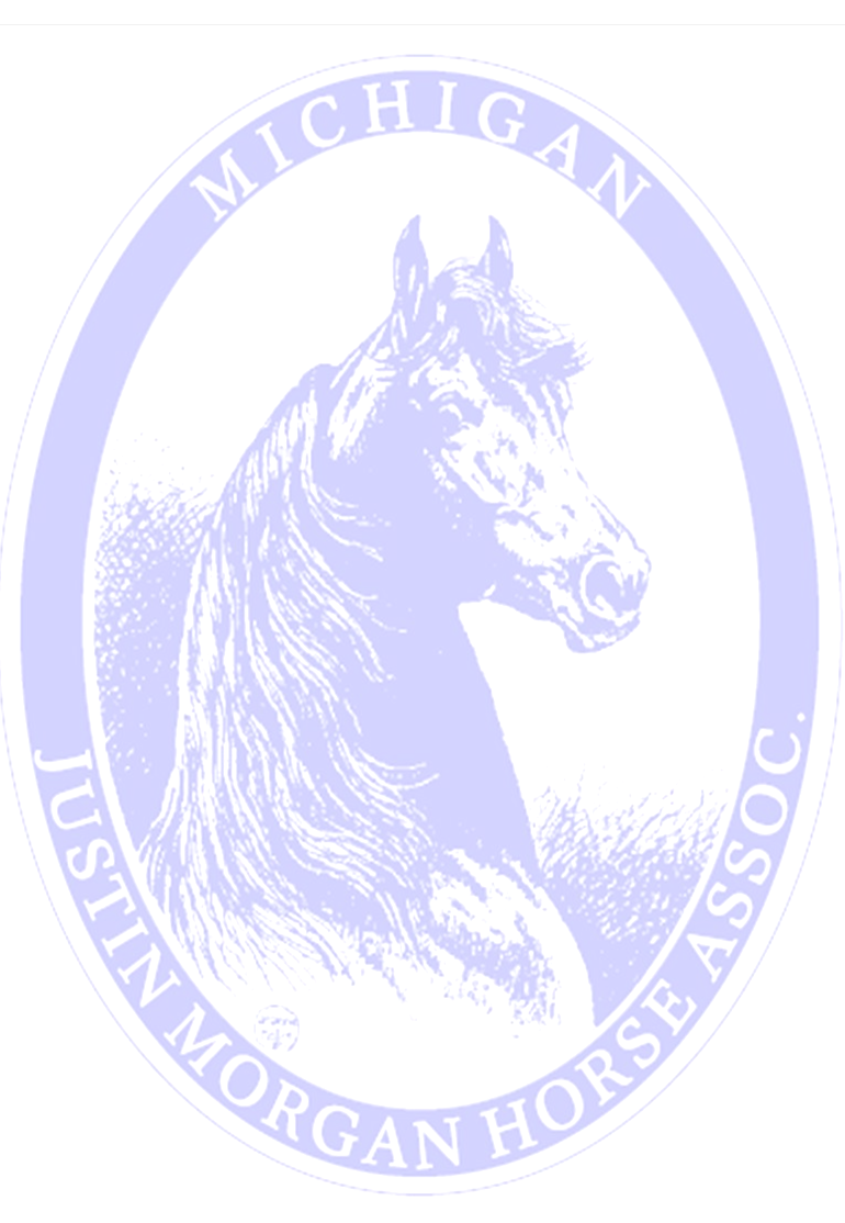 2024 MJMHA Individual Membership | Michigan Justin Morgan Horse Association